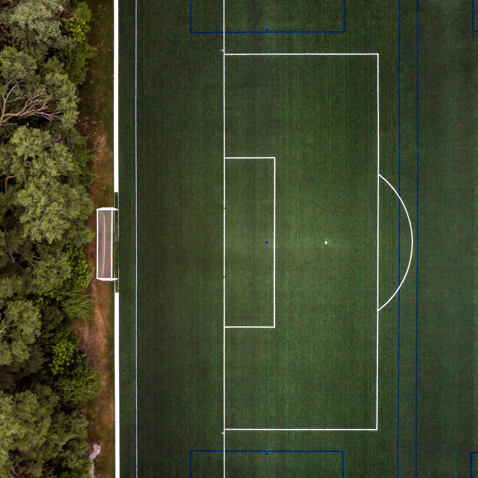 The Buddy Agency – Buddy + Co.